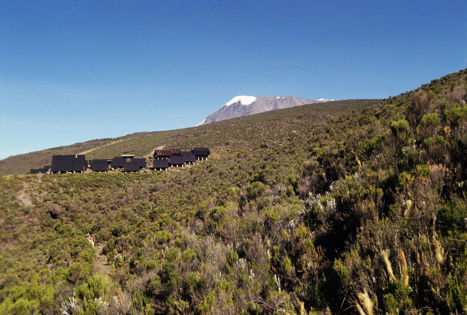 Best 5 days Marangu route itinerary and price 2024/2025